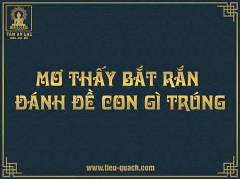 Mơ thấy bắt rắn là điềm báo lành hay dữ Mơ bắt rắn đánh đề con nào