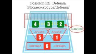 Total 38 Imagen Cuales Son Las Posiciones Del Voleibol Y Sus Funciones