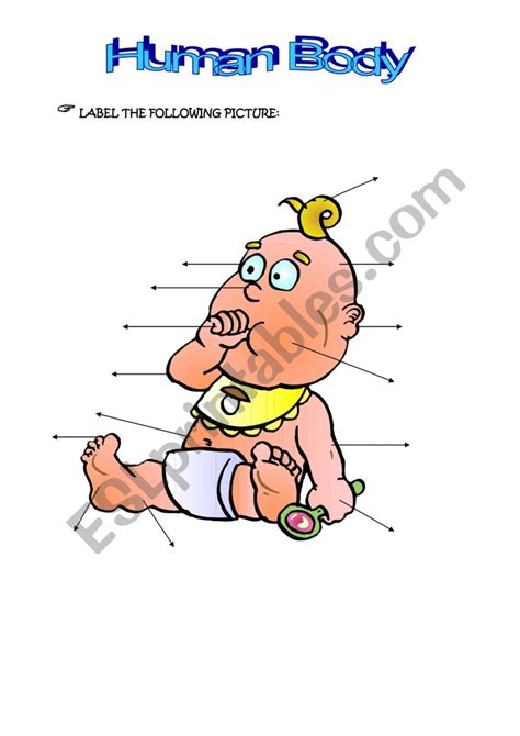 Label The Human Body ESL Worksheet By Anapata