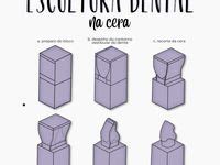42 ideias de Anatomia dental em 2023 dentário dentes prótese dentária
