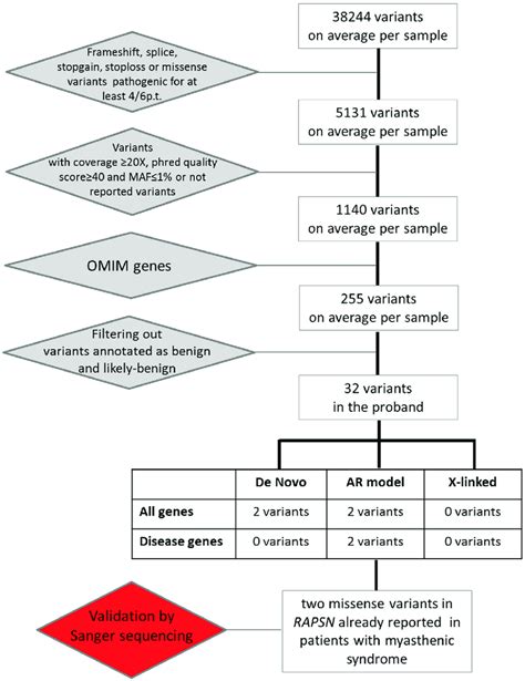 flowchart illustrating filtering process and variants selection used to download scientific