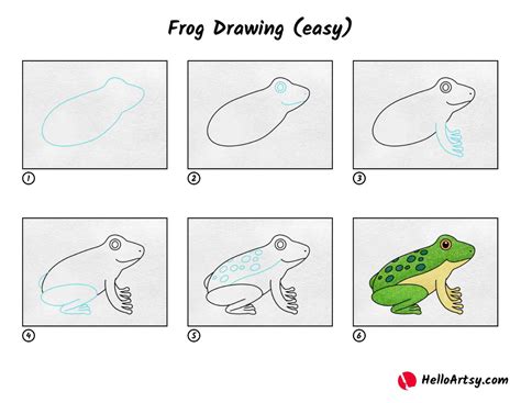 Frog Drawing Easy Helloartsy