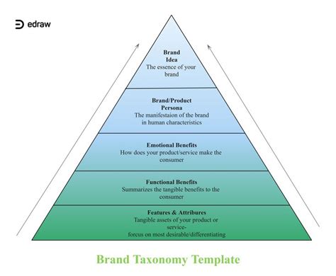 Brand Taxonomy Template EdrawMax Editable Template Taxonomy Page