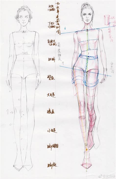 Fashion Sketching A Step By Step Guide To Drawing The Basic Fashion