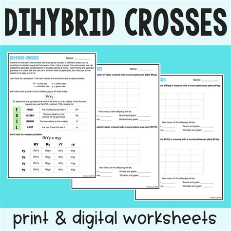 Worksheet Dihybrid Crosses Answer Key At Getkeatonblog Blog