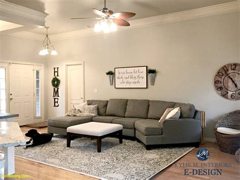 Dark Gray Paint Colors For Living Room Background Kcwatcher
