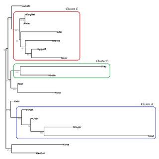 Phylogenetic Tree Constructed By The Neighbor Joining Algorithm Using