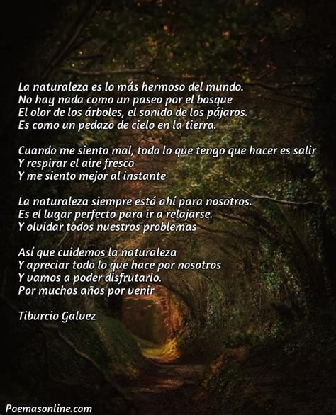 5 Mejores Poemas Sobre La Naturaleza De 5 Estrofas Poemas Online