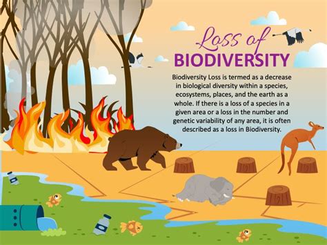 Loss Of Biodiversity PPT Slides Biodiversity Diagram Chart Presentation