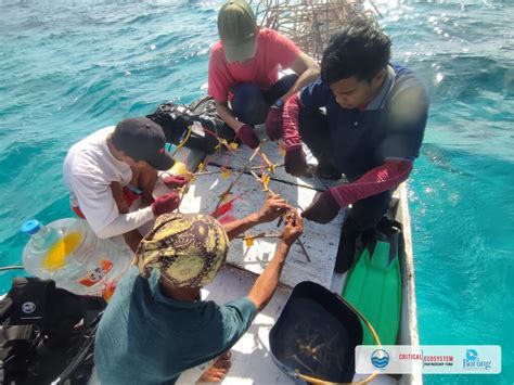 PENINGKATAN KAPASITAS MASYARAKAT UPAYA REHABILITASI DAN PERLINDUNGAN