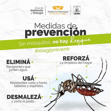 Mosquitos Campaña de Prevención Municipalidad de Arroyito