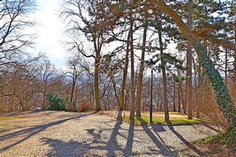 Arvores Parque Bosques Foto Gratuita No Pixabay Pixabay