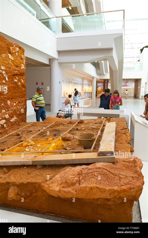 Museo de la Evolución Humana Burgos Castilla y León Spain Human