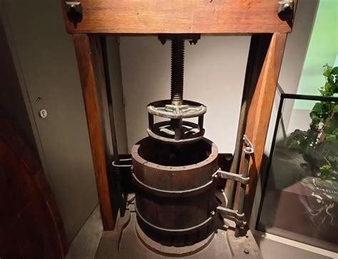 Le Musée des Vins dAlsace Route des Vins d Alsace