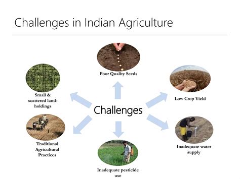 Role Of GIS In Agriculture PPT