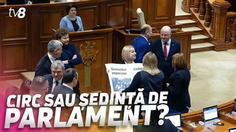 Circ sau ședință de Parlament Natalia Gavrilița a primit cătușe de la