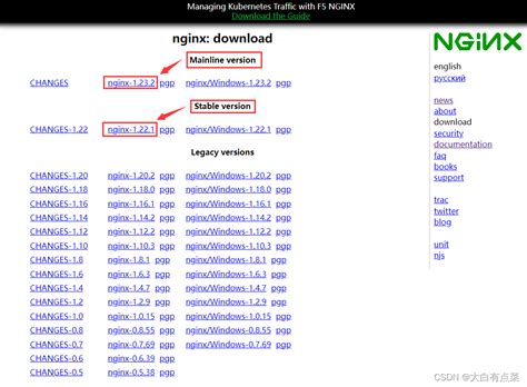 docker安装最新稳定版nginx（分析版本选择问题和分享踩坑过程） nginx最新稳定版本 csdn博客