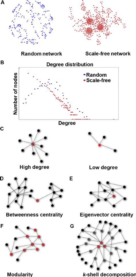 overview of topological features of biological networks a comparison download scientific