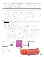 Understanding Muscle And Nervous Tissue Types Functions And Course