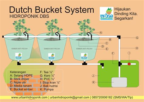Merakit Hidroponik Dft