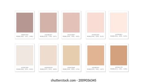 11 875 張 Nude palette 圖片庫存照片和向量圖 Shutterstock