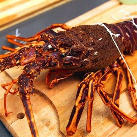 Décrypter 77 imagen gratin de langouste marmiton fr thptnganamst edu vn
