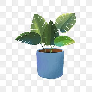 Plantas En Macetas Png Plantas Verdes Planta Plantas En Macetas Png