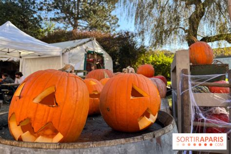 Halloween Participez La F Te De La Citrouille Dans Les Fermes