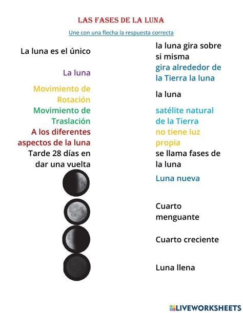 Actividad Interactiva De Fases De La Luna Para Quinto Tattoo Art
