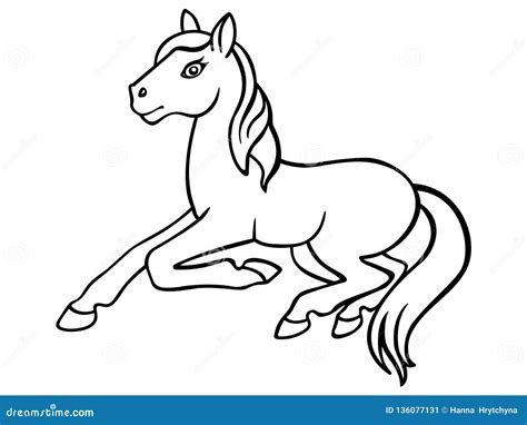 Poulain Peu Image Linéaire De Cheval Pour La Coloration Poney Livre