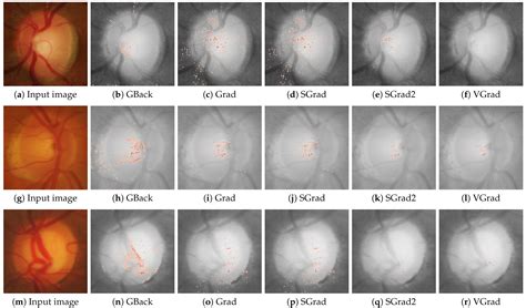 sensors free full text in depth evaluation of saliency maps for interpreting convolutional