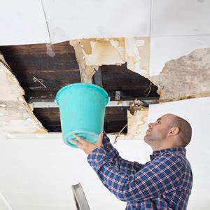 How To Fix A Leaking Roof From The Inside Diy Pj Fitzpatrick
