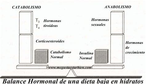 Alto Consumo De Hidratos De Carbono Y Balance Hormonal Me Gusta Estar