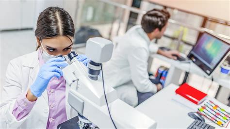 Ramas de la biología Qué son y cuáles son UNIR Perú