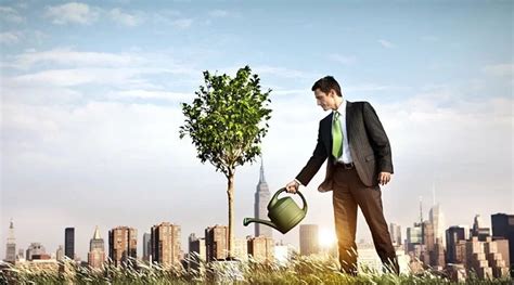 Empreendedorismo sustentável Como aplicar