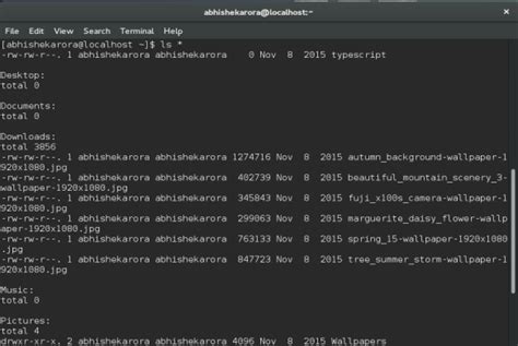 List Files And Directories Using Ls Command