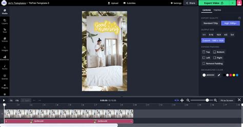 Tiktok Video Templates Free And Customizable Kapwing Page