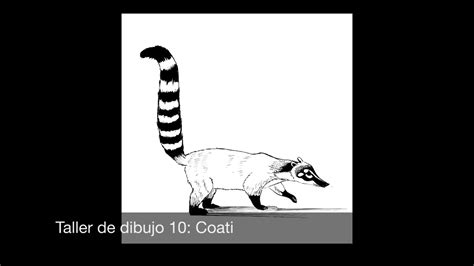 DIBUJO FÁCIL PARA NIÑOS 10 COATÍ EASY DRAWING FOR KIDS 10 COATI