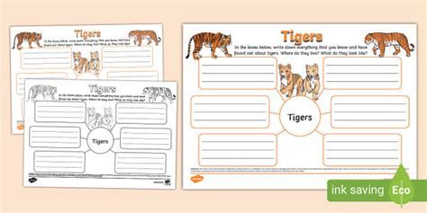 Facts About Tigers Mind Map Teacher Made Twinkl