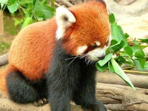 Best U Thinfish Images On Pholder Funny Rarepuppers And Crappy Design