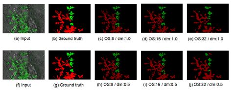 processes free full text methods for detecting and classifying weeds diseases and fruits