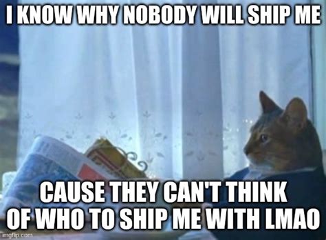 I Should Buy A Boat Cat Meme Imgflip