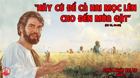 Lịch dâng lễ Chúa Nhật 18 Thường Niên