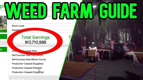 Gta 5 Weed Farm Solo Guide How To Make Money With Weed Business Gta