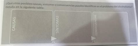 Qu Otras Posibles Causas S Ntomas Y Consecuencias Puedes Identificar