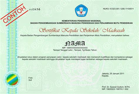 Tampilan Contoh Serifikat Sekolah Minggu Wajib Tahu Guna Menciptakan