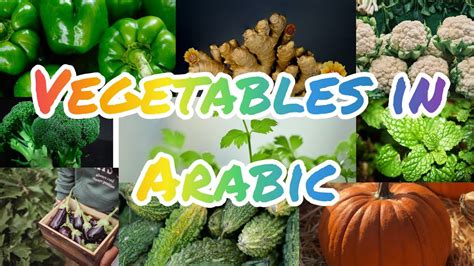 Vegetables Names English To Arabic At Veronica Jackson Blog