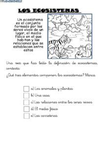 Actividades Para Trabajar El Ecosistema Colombia Verde
