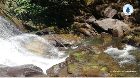 El agua diluye al mundo Juan Ramón