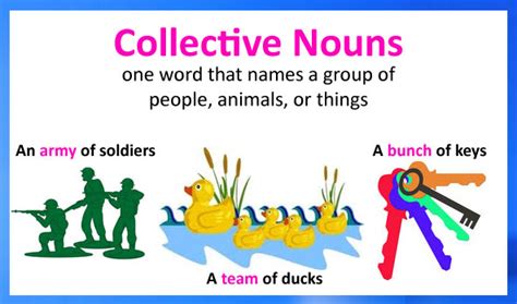 Collective Nouns Free Lessons And Worksheets